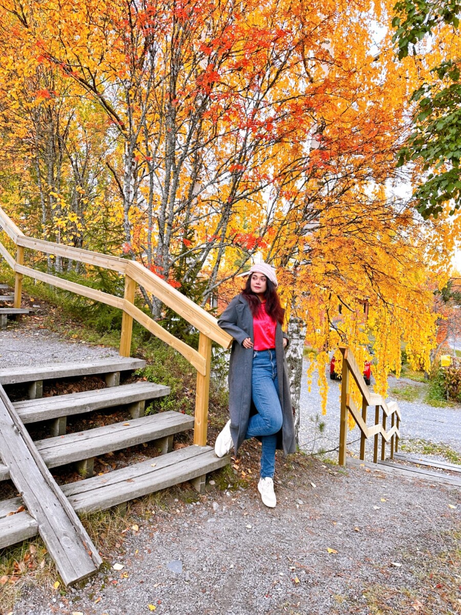 The Business of Connection: Weaving a Tapestry at Savonia